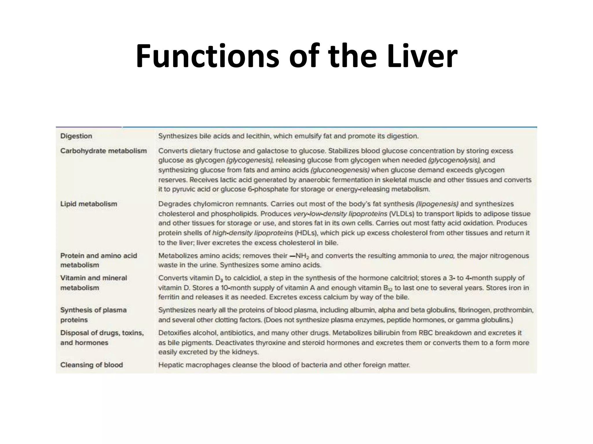 L2.11 liver pancreas peritoneum pdf | PDF