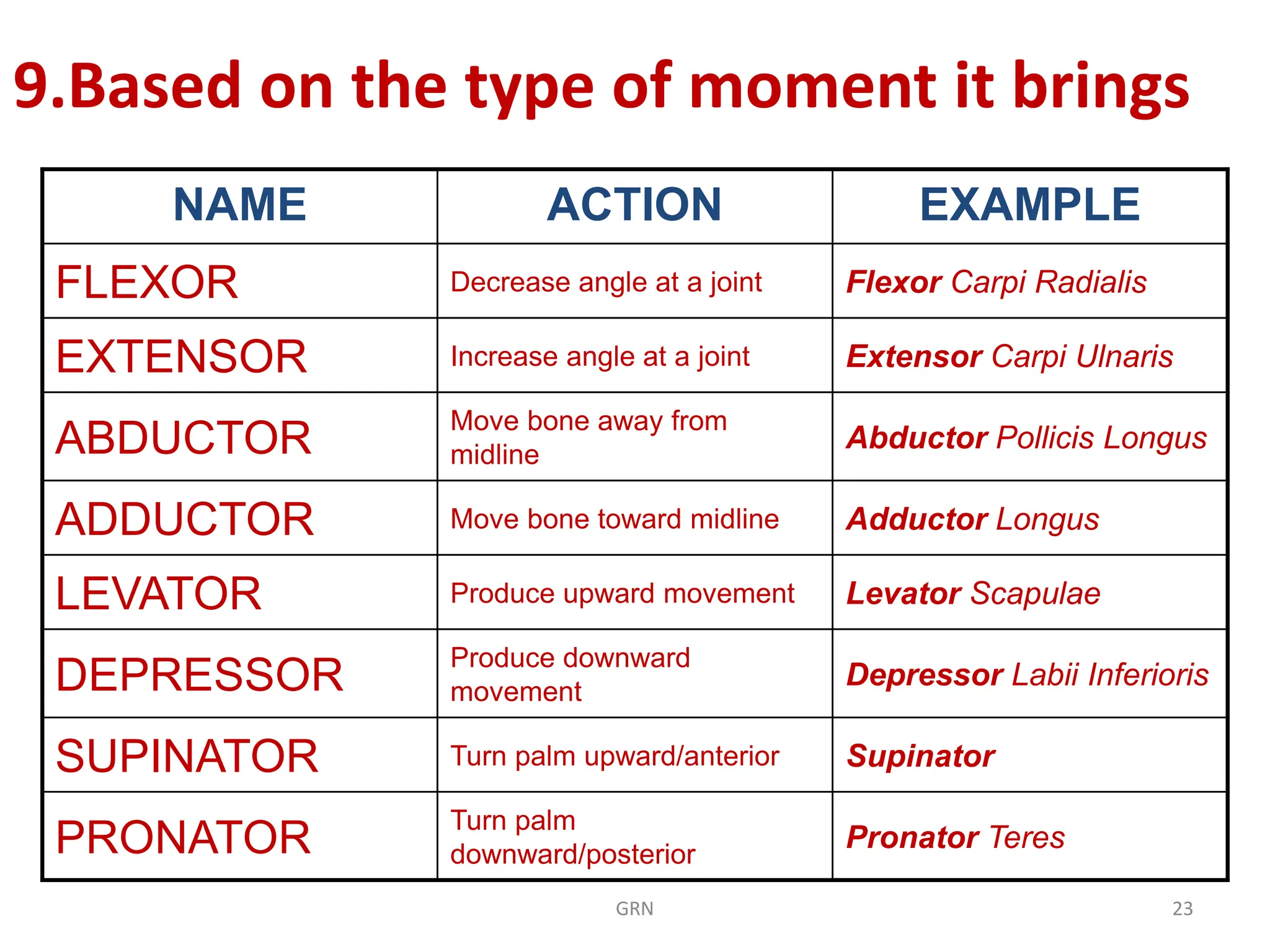 L2.The Muscular System-R.pdfClassify the muscles with examples ...