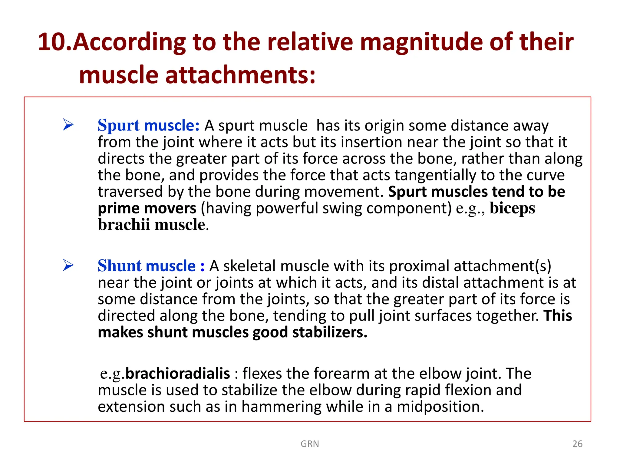 L2.The Muscular System-R.pdfClassify the muscles with examples ...