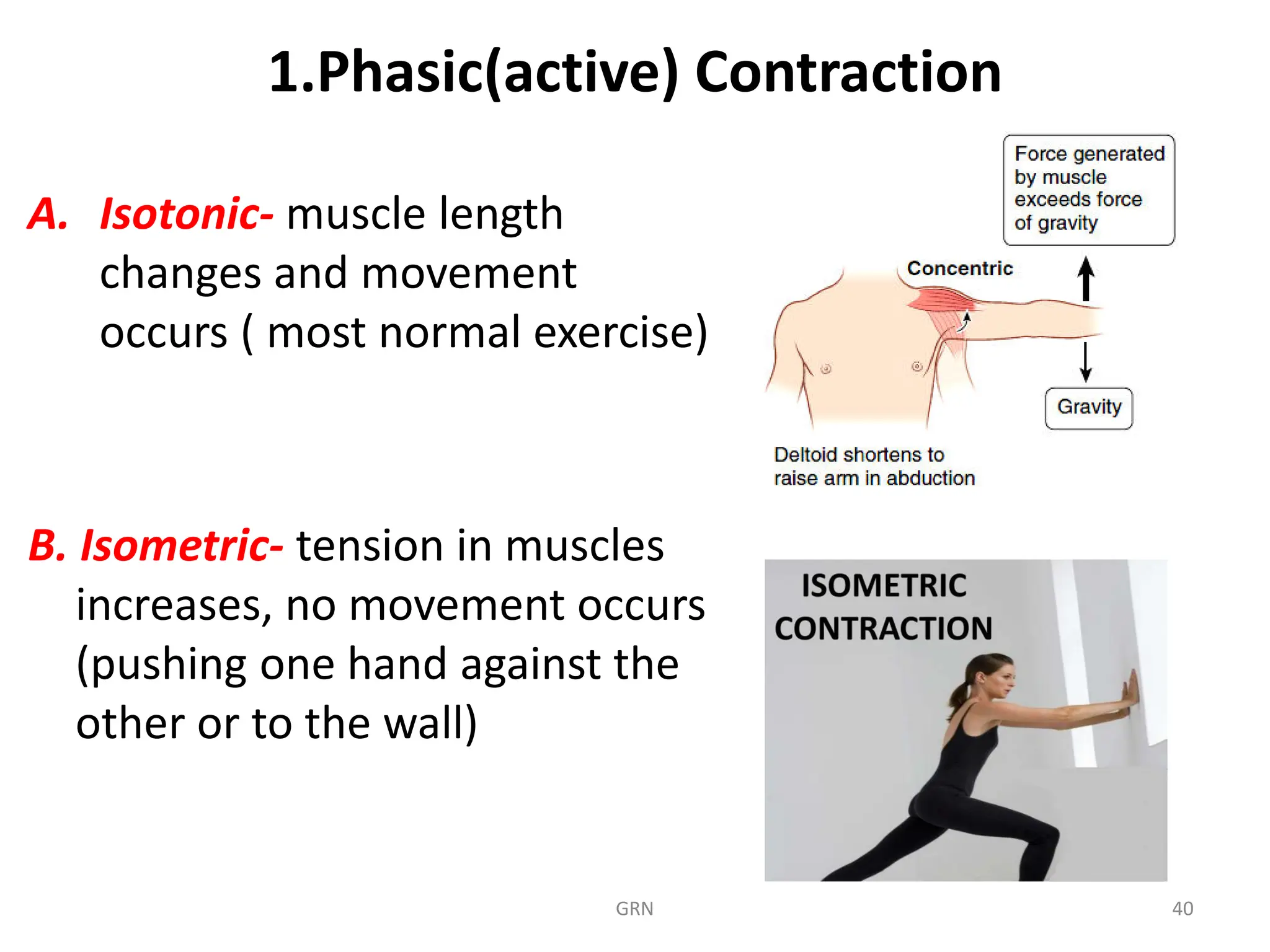 L2.The Muscular System-R.pdfClassify the muscles with examples ...