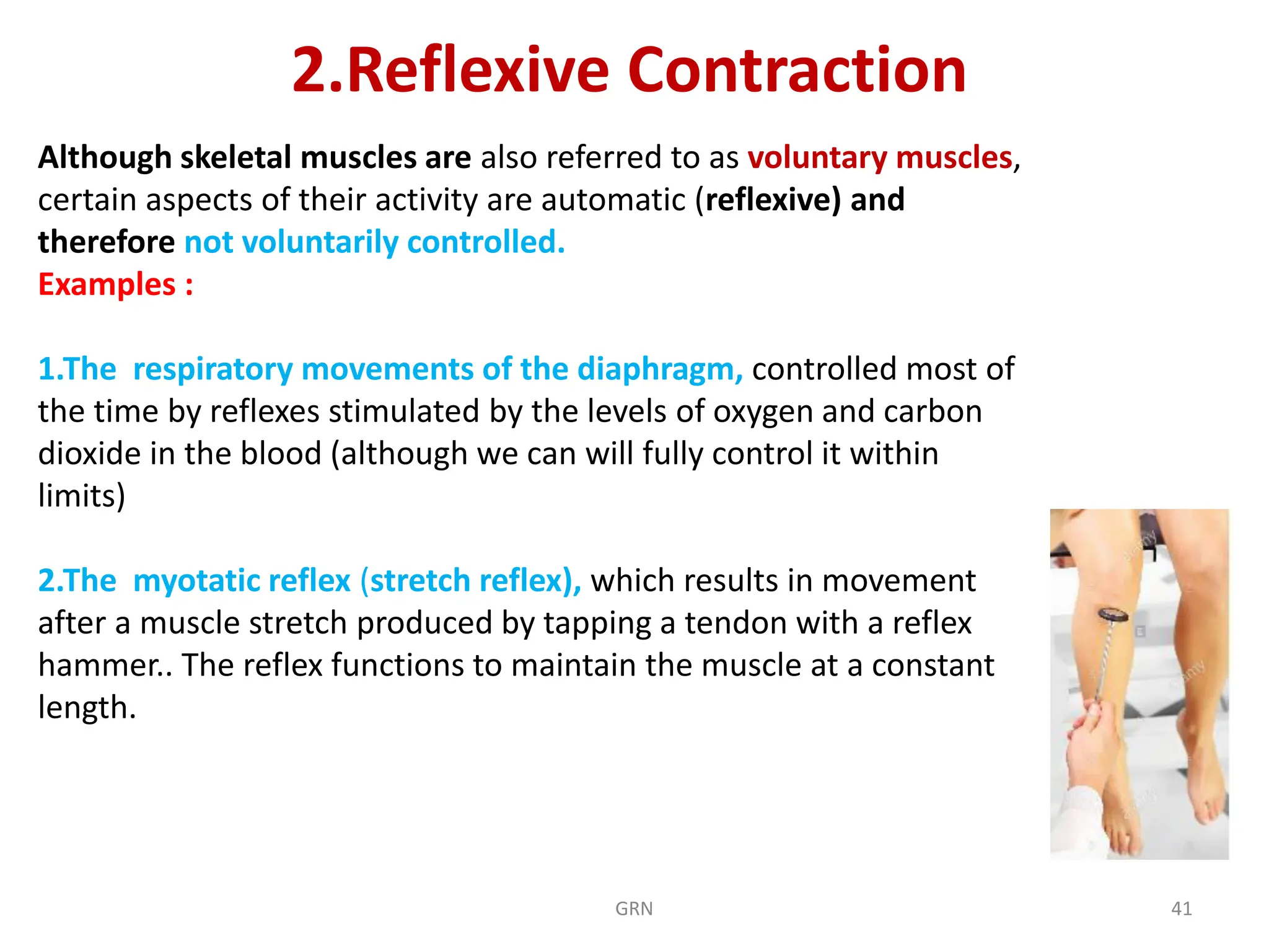 L2.The Muscular System-R.pdfClassify the muscles with examples ...