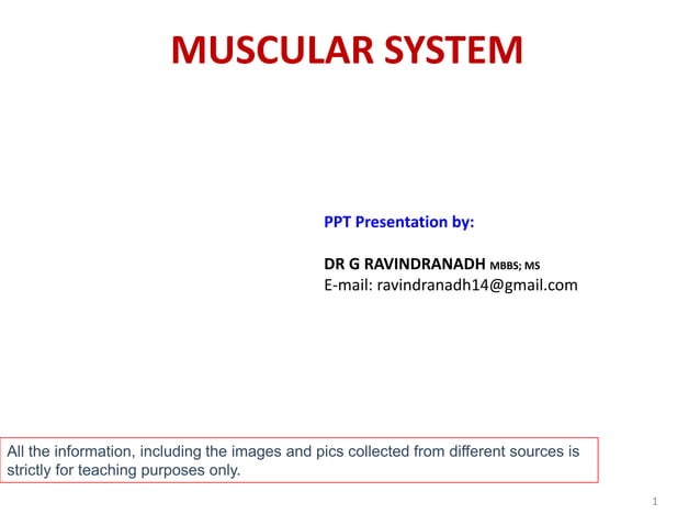 L2.The Muscular System-R.pdfClassify the muscles with examples ...