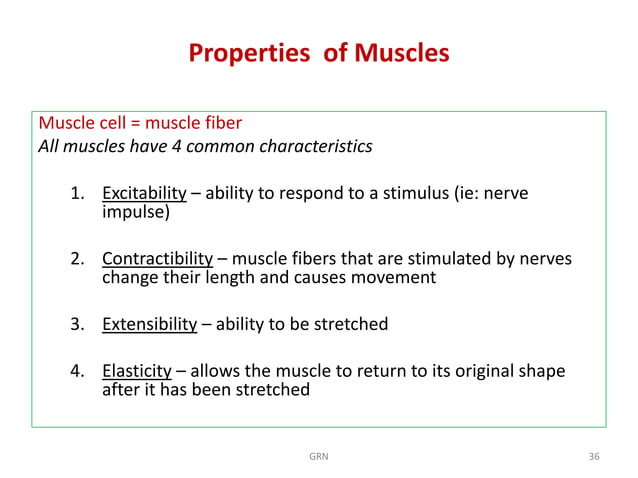 L2.The Muscular System-R.pdfClassify the muscles with examples ...