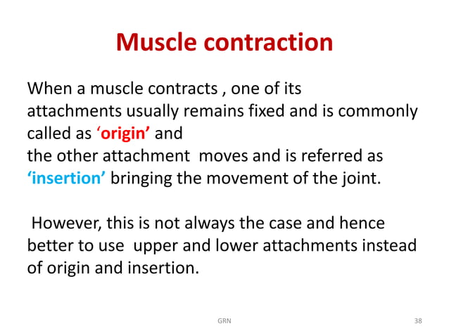 L2.The Muscular System-R.pdfClassify the muscles with examples ...