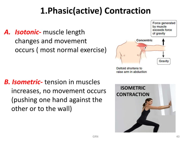 L2.The Muscular System-R.pdfClassify the muscles with examples ...