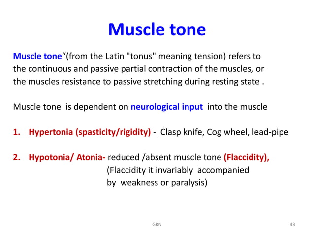 L2.The Muscular System-R.pdfClassify the muscles with examples ...