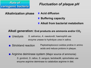 dietary factors in caries | PPT