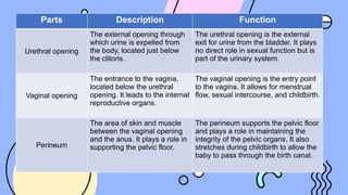 Lesson Two: Anatomy and Physiology Topic.pptx