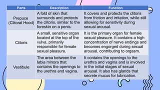 Lesson Two Anatomy And Physiology Topic Pptx
