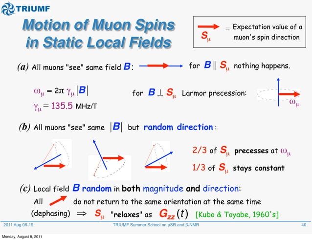 Methods of Muon Spin Rotation/Relaxation/Resonance (muSR) | PDF | Chemistry | Science