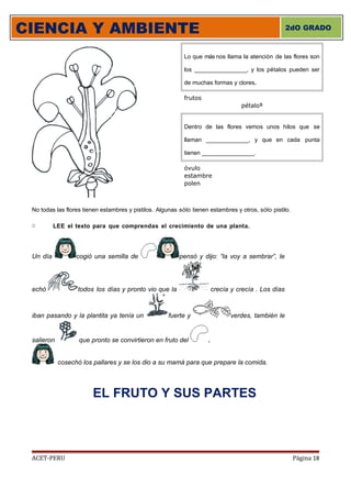 ciencia y ambiente 2 grdo | DOC