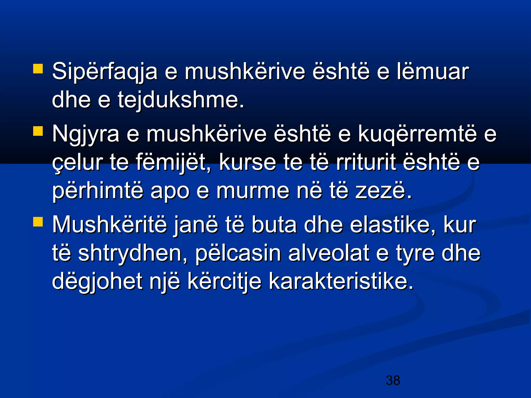 L2 cavitas thoracis | PPT