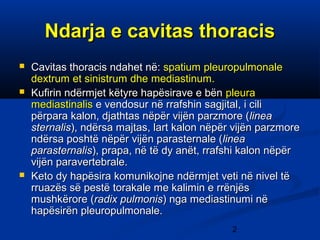 L2 cavitas thoracis | PPT