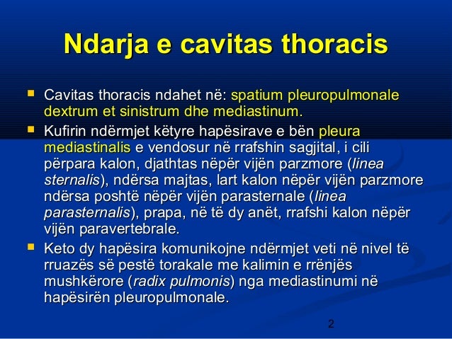 L2 cavitas thoracis