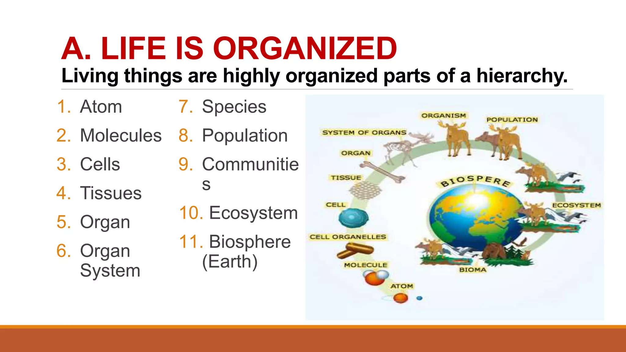 L2 - CHARACTERISTICS OF LIFE.pptx | Reproductive Health | Diseases and ...