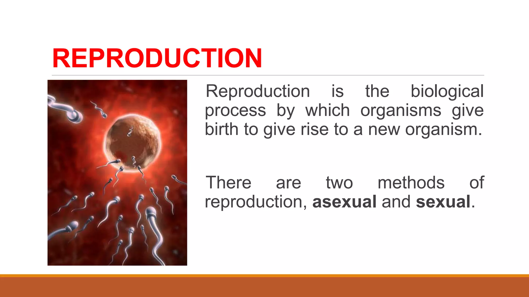 L2 - CHARACTERISTICS OF LIFE.pptx | Reproductive Health | Diseases and ...