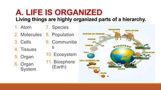 L2 - CHARACTERISTICS OF LIFE.pptx | Reproductive Health | Diseases and ...