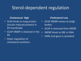 L2-Cholesterol Metabolism.ppt