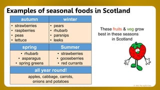 L2 - Food Sustainability .pptx
