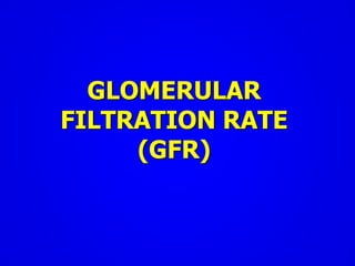 class 12 notes of zoology topic: glomerular filtration rate (GFR) | PDF