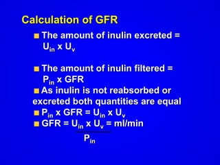 class 12 notes of zoology topic: glomerular filtration rate (GFR) | PDF