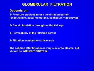 class 12 notes of zoology topic: glomerular filtration rate (GFR) | PDF
