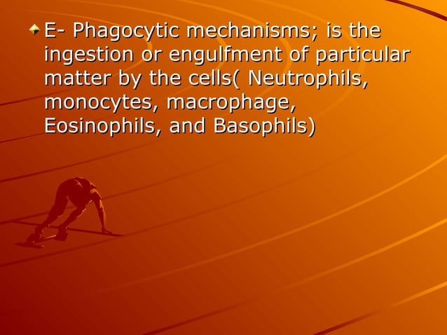 Lecture notes innate immunityLecture notes innate immunity | PPT | Free ...