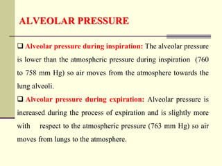 Breathing mechanics presentation systems | PPT