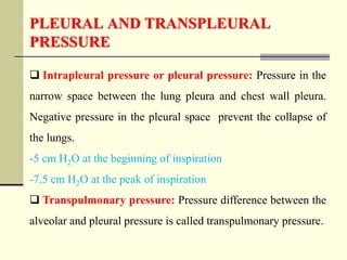 Breathing mechanics presentation systems | PPT