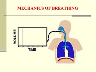 Breathing mechanics presentation systems | PPT