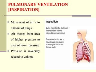 Breathing mechanics presentation systems | PPT
