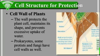 Parts and Functions of the Cell | PPTX
