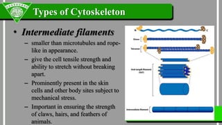 Parts and Functions of the Cell | PPTX