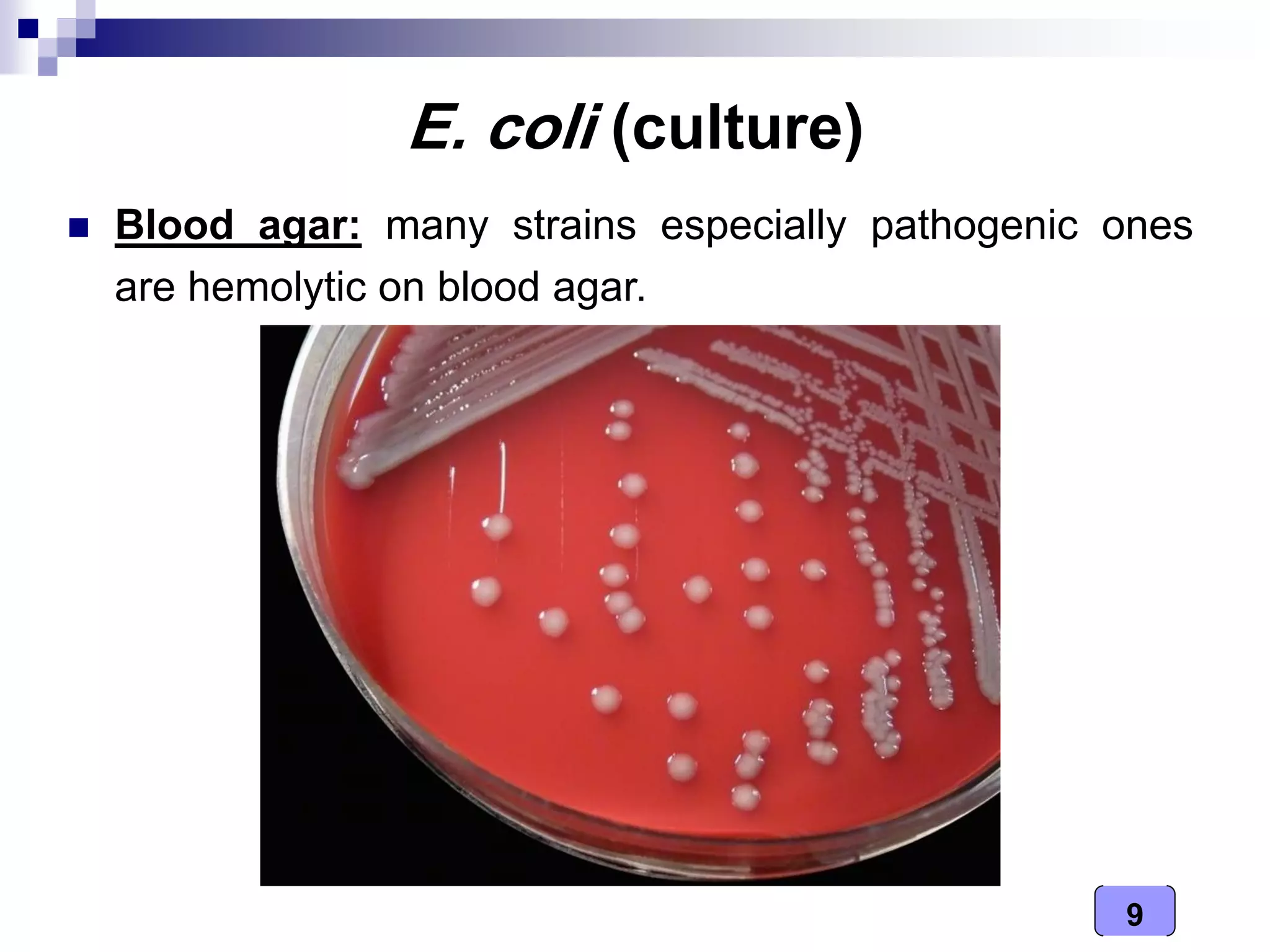 Medical Microbiology Laboratory (Enterobacteriaceae - i) | PDF