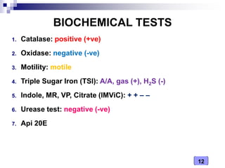 Medical Microbiology Laboratory (Enterobacteriaceae - i) | PPT