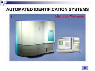 Medical Microbiology Laboratory (Enterobacteriaceae - i) | PPT