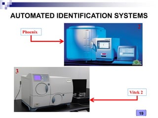 Medical Microbiology Laboratory (Enterobacteriaceae - i) | PPT
