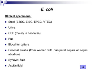 Medical Microbiology Laboratory (Enterobacteriaceae - i) | PPT