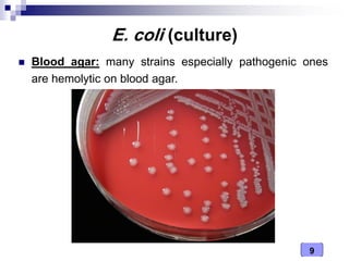 Medical Microbiology Laboratory (Enterobacteriaceae - i) | PPT
