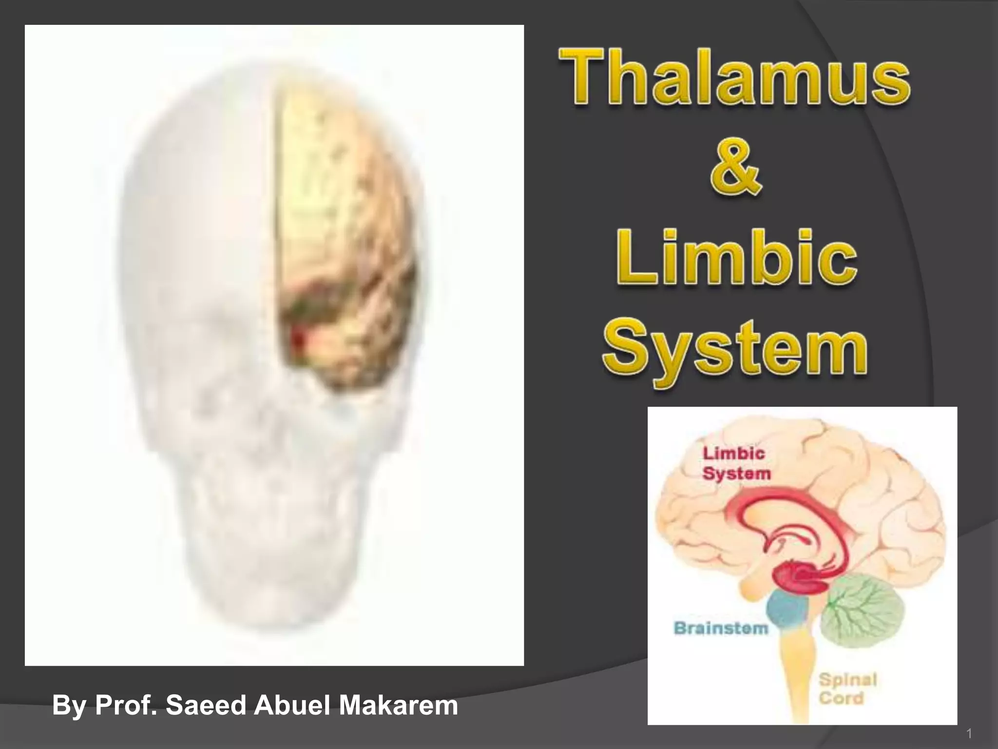 L20-Thalamus & Limbic System.ppt