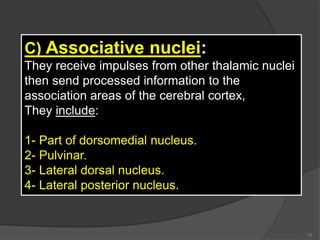 L20-Thalamus & Limbic System.ppt