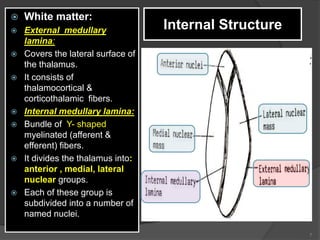 L20-Thalamus & Limbic System.ppt