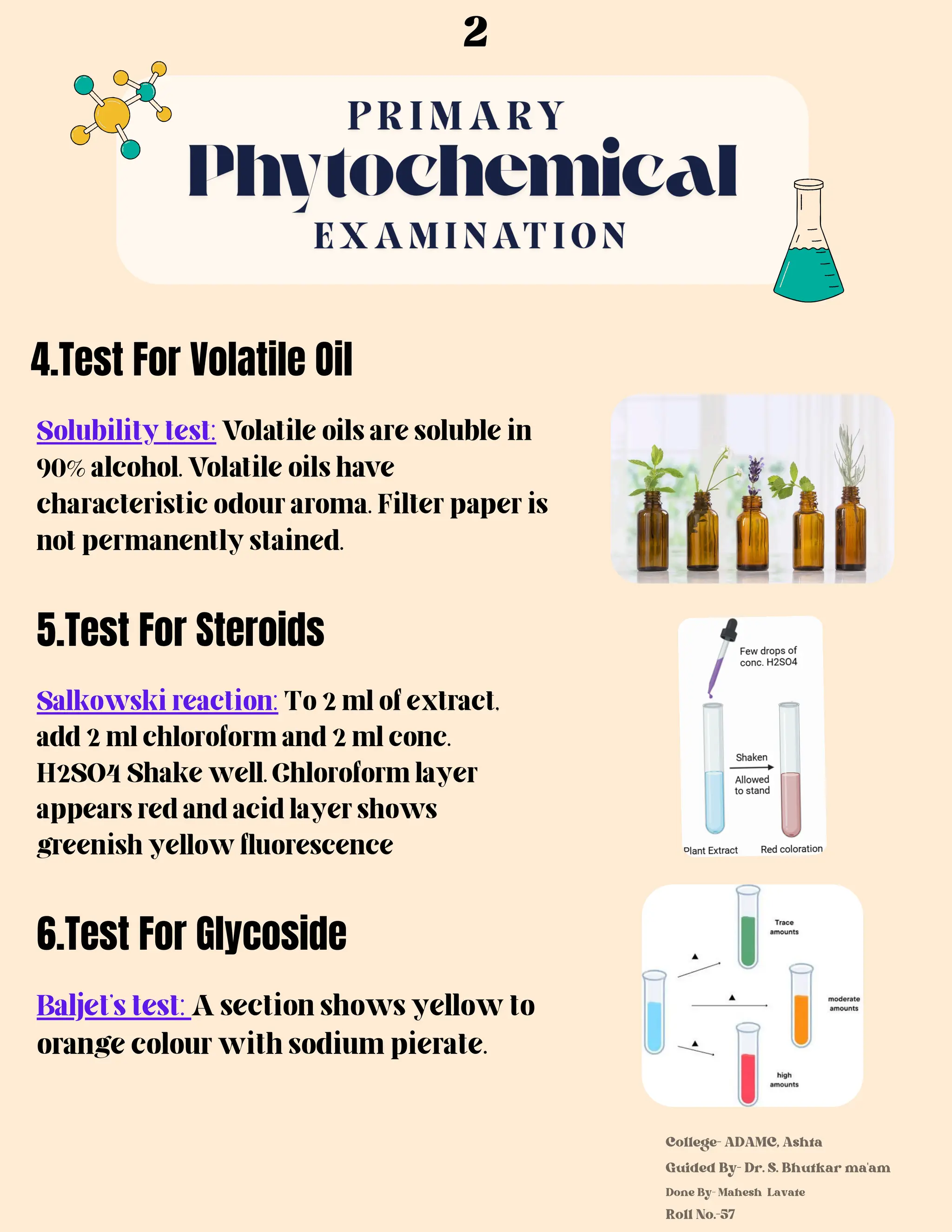 PrimaryPhytochemicalExamination.pdf (part 2) | PDF