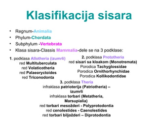 L207 - Biologija - Sisari – Natalija Radenković - Danijela Veljković | PPT