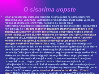 L207 - Biologija - Sisari – Natalija Radenković - Danijela Veljković | PPT