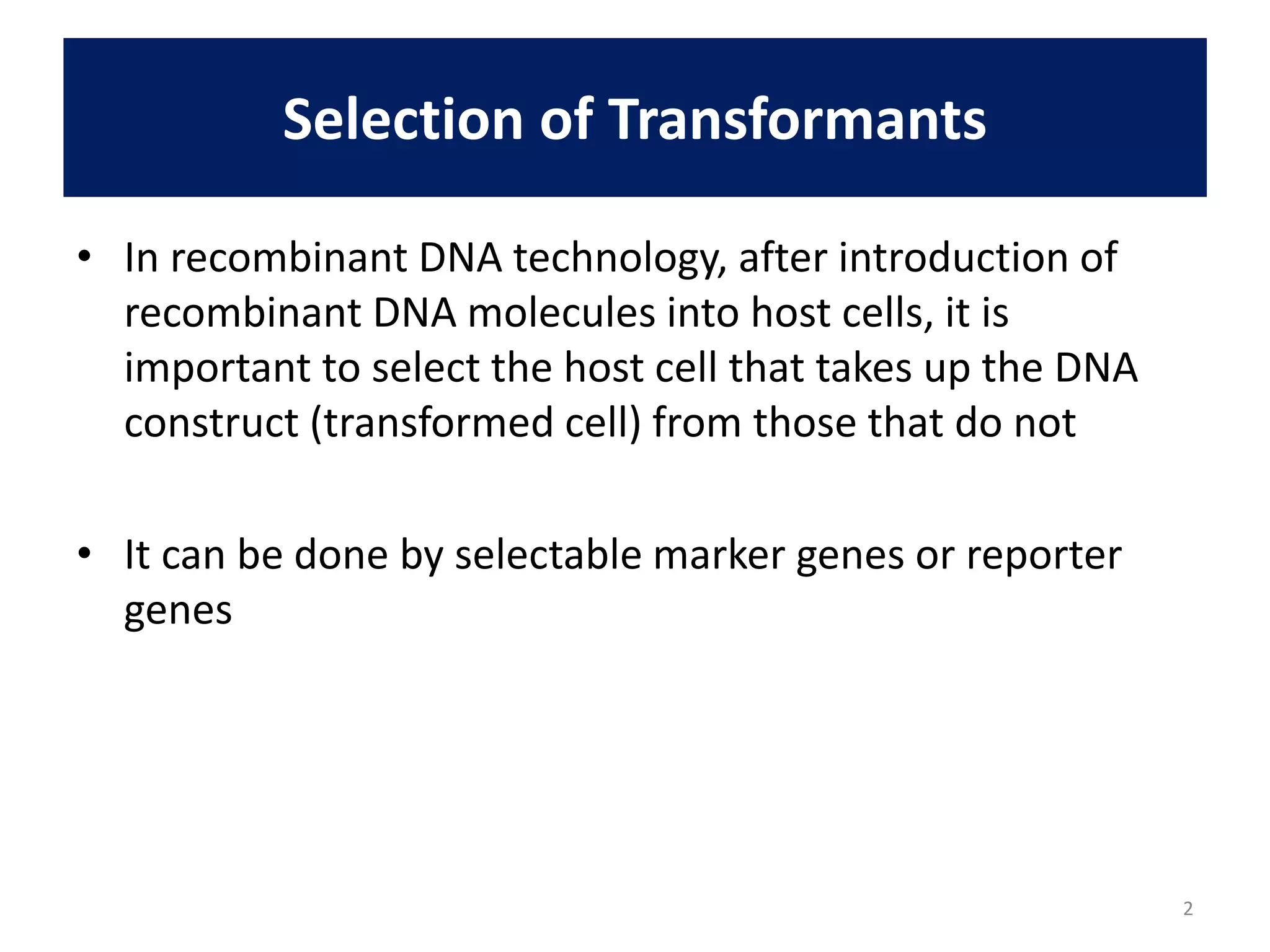 L21. techniques for selection, screening and characterization of transformants | PPTX
