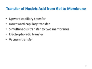 L21. techniques for selection, screening and characterization of ...