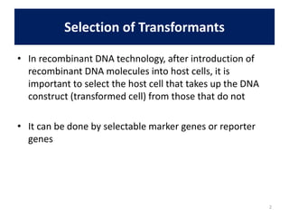 L21. techniques for selection, screening and characterization of transformants | PPTX