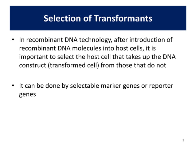 L21. techniques for selection, screening and characterization of ...