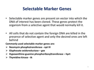 L21. techniques for selection, screening and characterization of ...